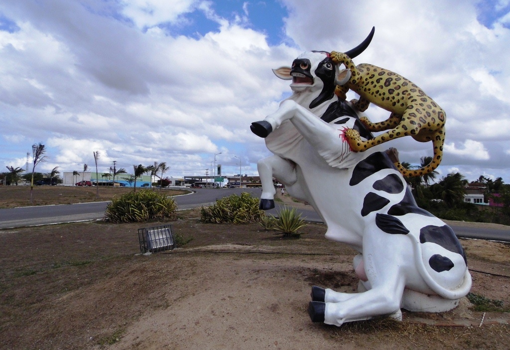 Surubim, terra de "onças" e "bois" | Surubim News